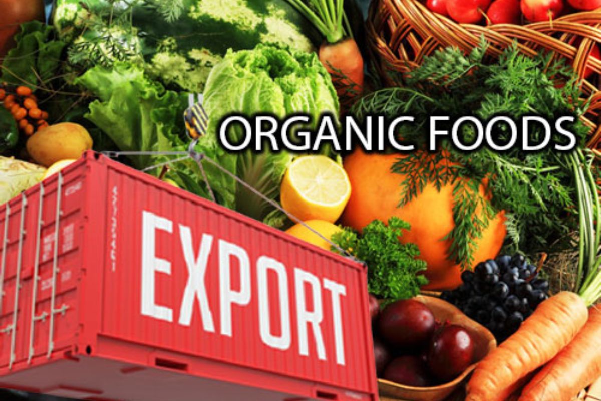 Top 10 Export-Oriented Organic Foods In 2026 - Inventiva