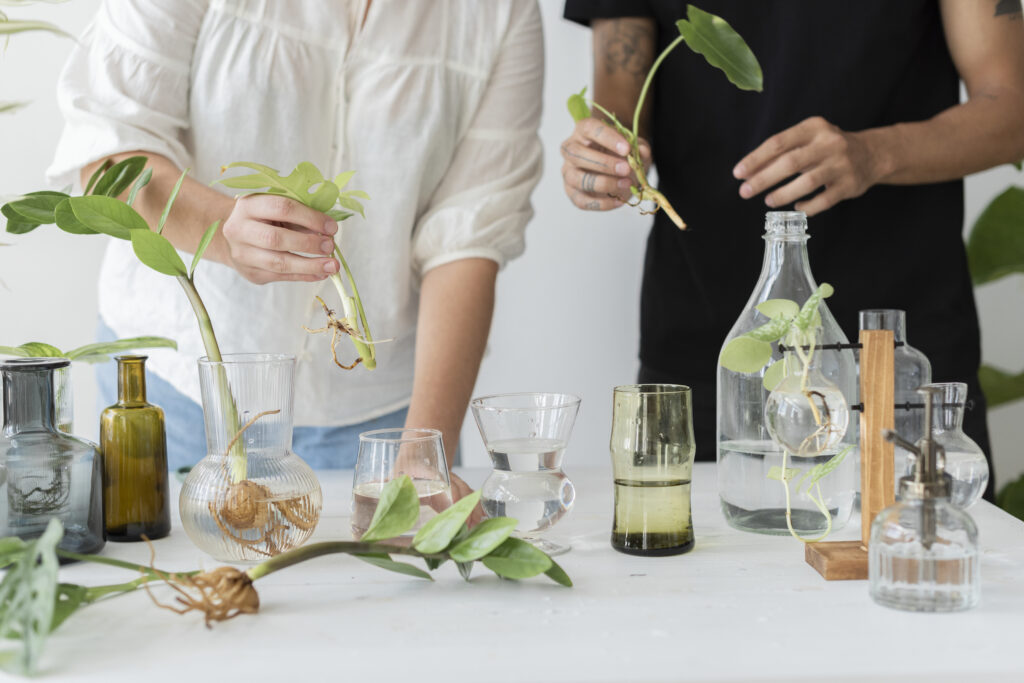 Top 10 Best Ayurvedic Healthcare Startups In India 2025 - Inventiva
