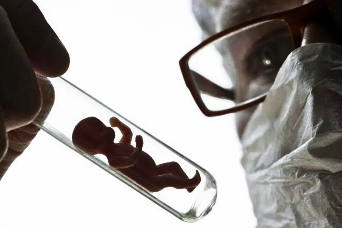 Lab-Grown Human Eggs And Sperm—Science’s Greatest Magic Trick Or 1 ...